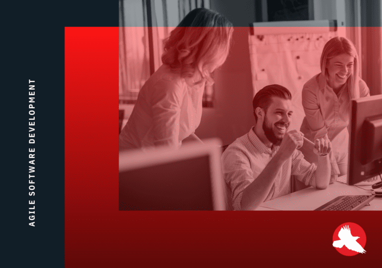 Software Development Company - Red Hawk Technologies