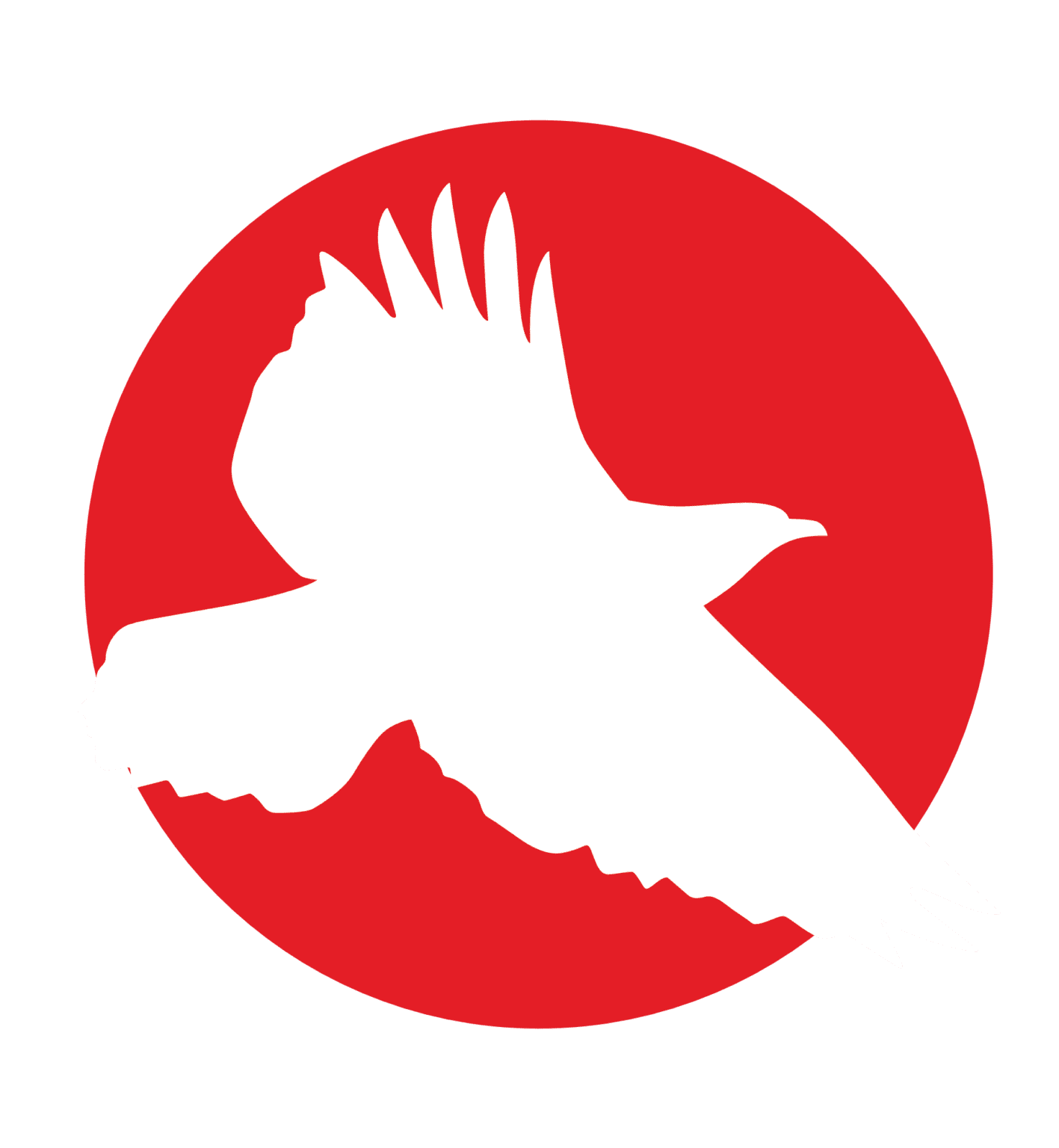 Red Hawk Technologies Custom Software Development and Services