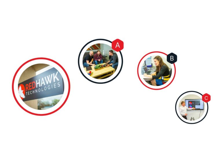 Web Application Development - Red Hawk Technologies