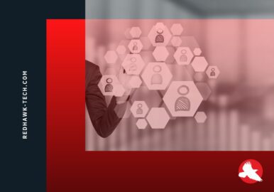 Cincinnati Software Product Development - Red Hawk Technologies