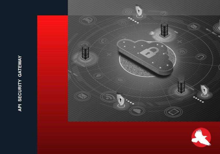 API Security Gateway - Red Hawk Technologies