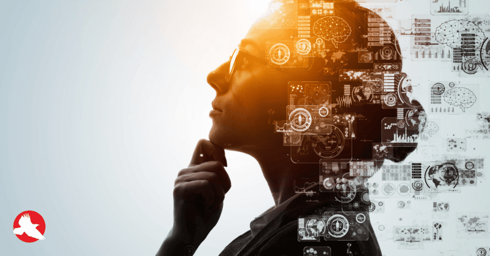 Red Hawk Technologies Your Custom Software Solution Provider